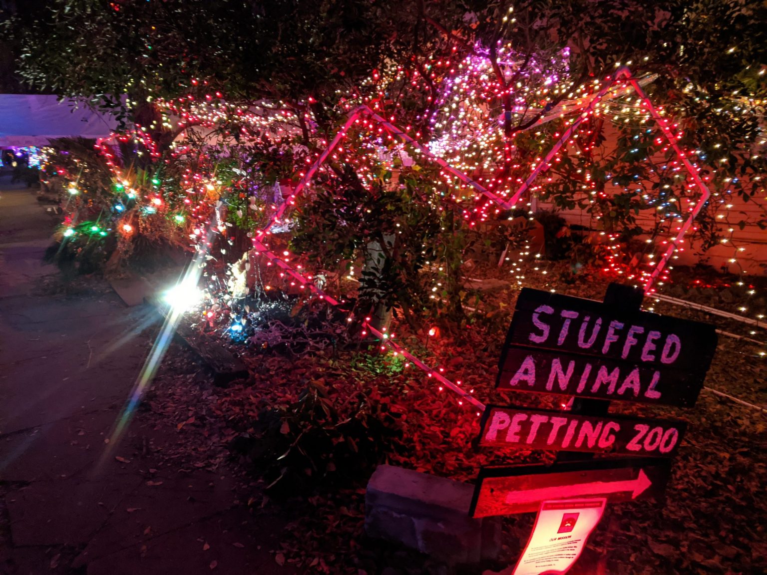 60+ Weird Things to Do in Austin, Texas